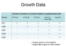 6.7 Classification of Mutants - Introduction to Genetics