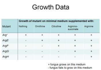 6.7 Classification of Mutants - Introduction to Genetics