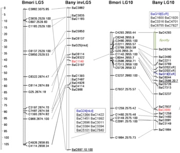 11.2 Genetic Mapping - Introduction to Genetics